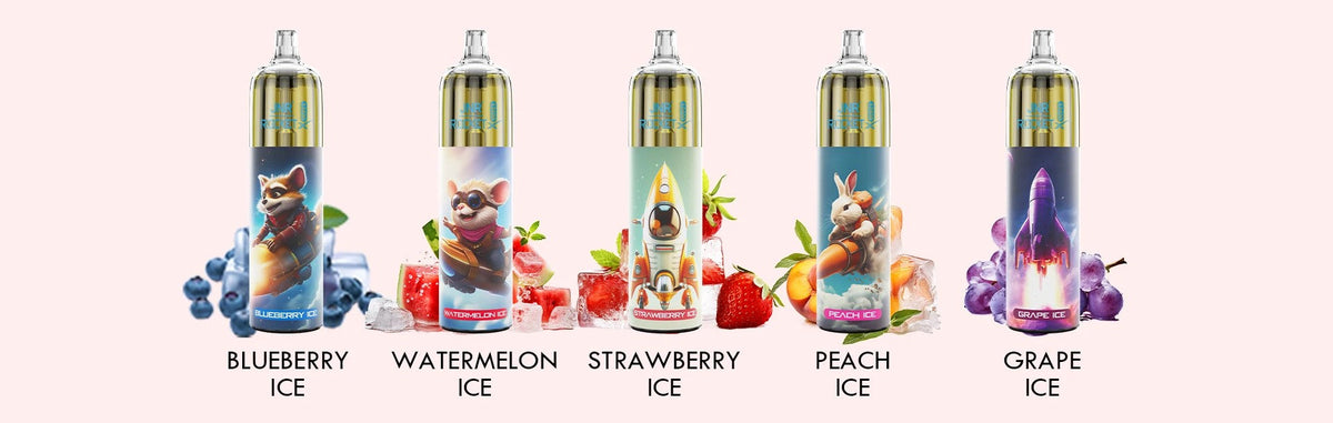 JNR Rocket X 12400 Puffs | 20+ gout | €99.99 Prix